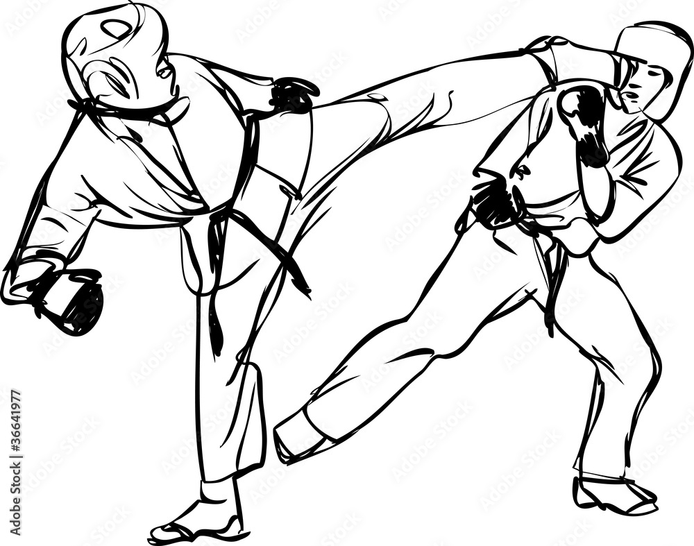 Karate Kyokushinkai sketch martial arts and combative sports Stock ...