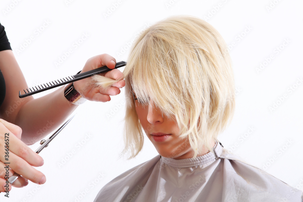 friseurin frisiert Stock-Foto | Adobe Stock