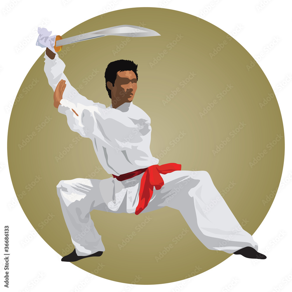 Fighter Stock Vector | Adobe Stock