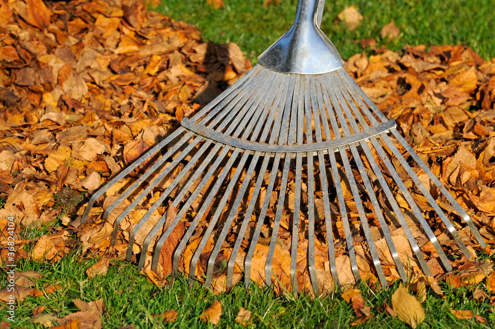 Laubrechen Stock-Foto | Adobe Stock