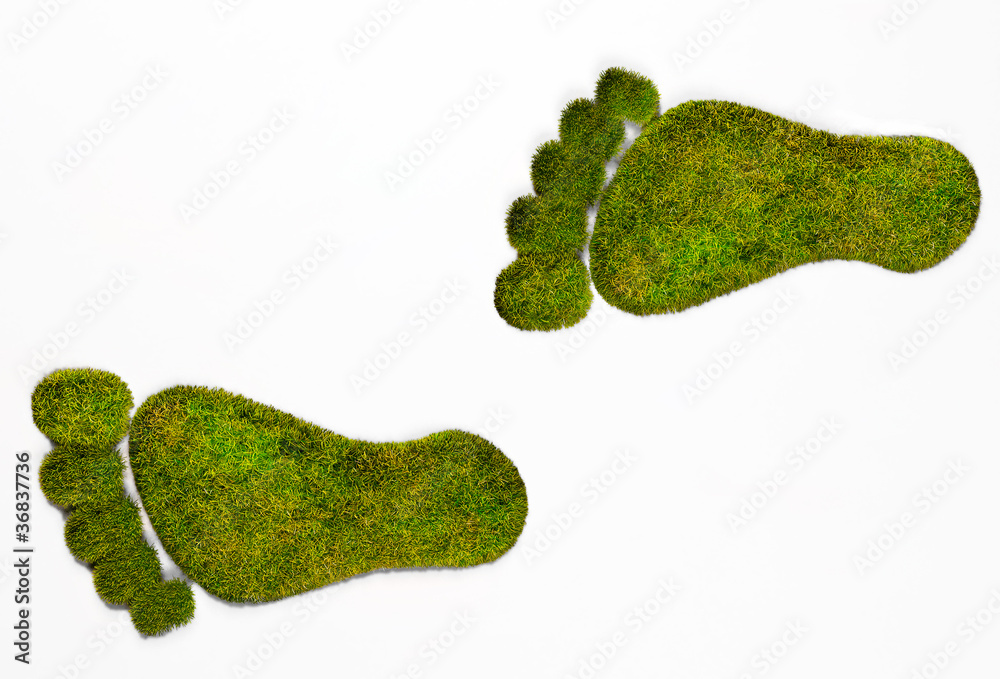 Eco footprints illustrating the human footprint on nature Stock Photo ...