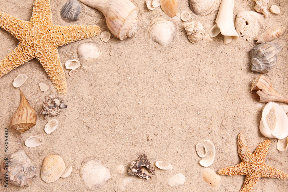 Seashell border on sand Stock Photo | Adobe Stock