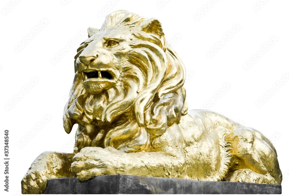 Golden Lion statue isolated on a white background Stock Photo | Adobe Stock