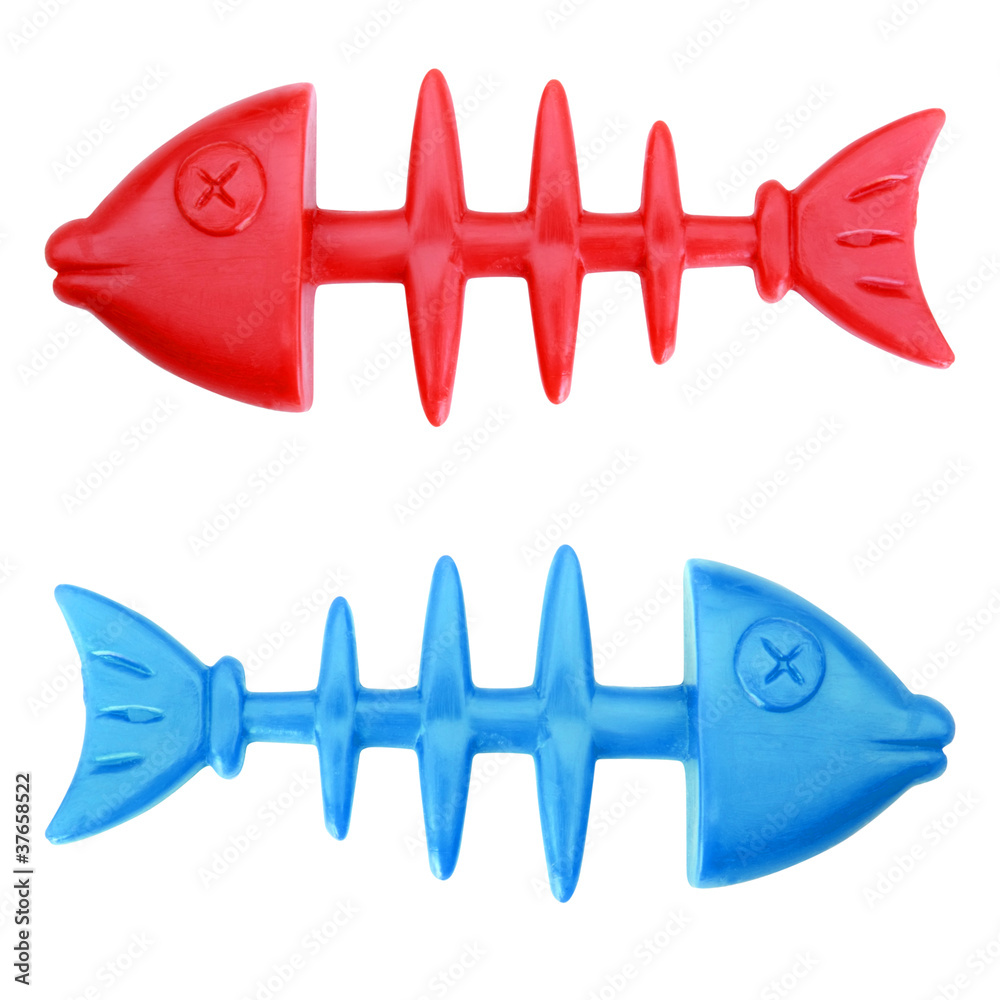 Arêtes de poisson Photos | Adobe Stock