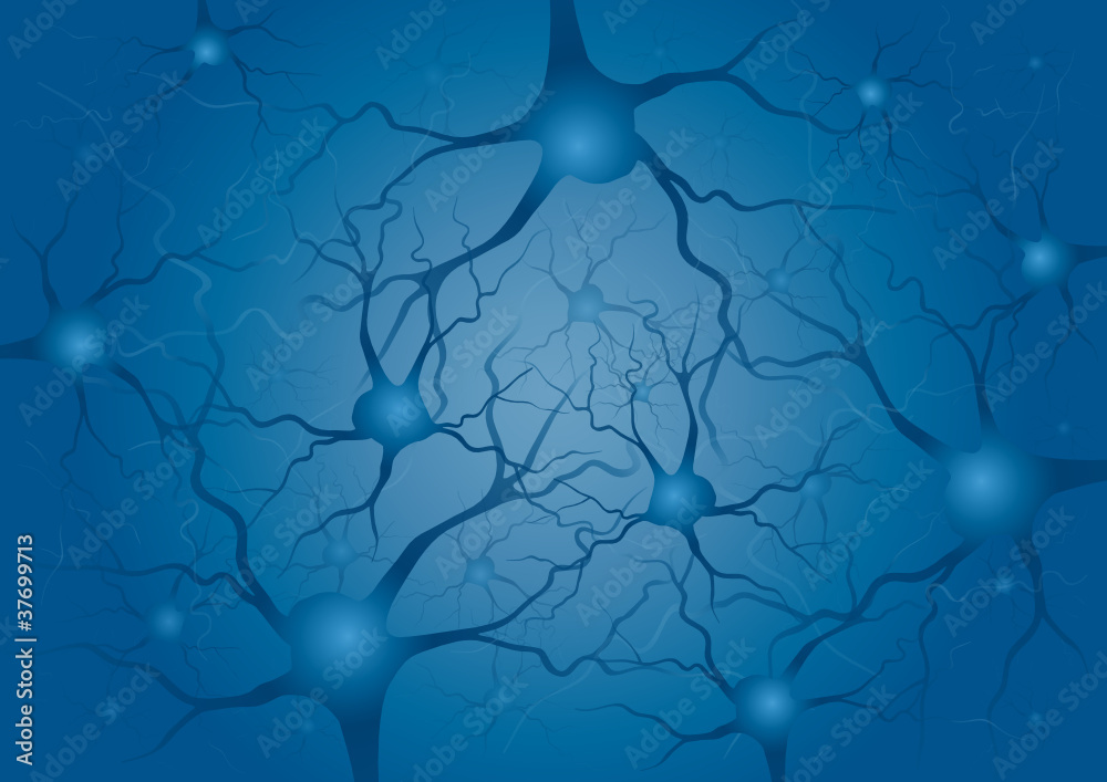 Zellen Stock Vector | Adobe Stock