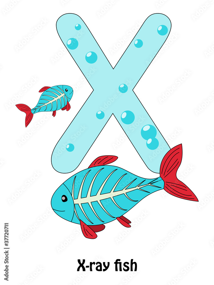 X-ray fish and letter X Stock Vector | Adobe Stock