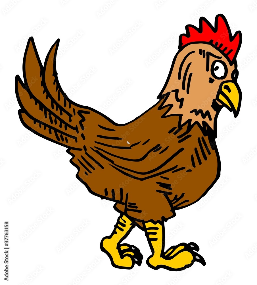 Dibujo gallina vector de Stock | Adobe Stock