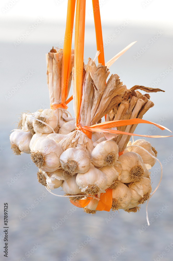 Garlic Stock Photo | Adobe Stock