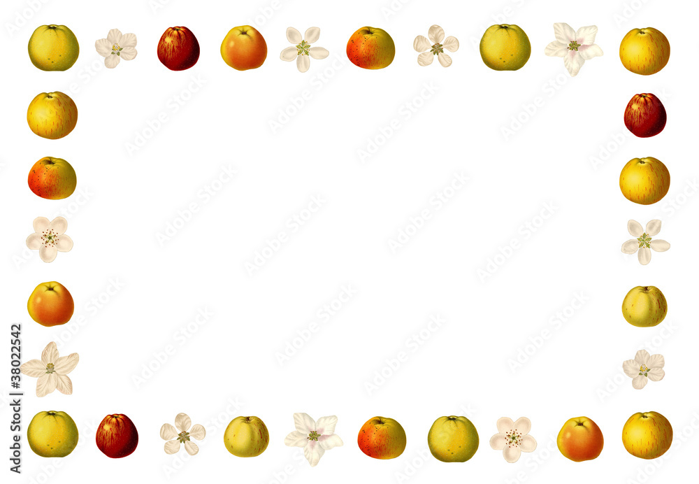 Rahmen mit Äpfeln Stock-Foto | Adobe Stock