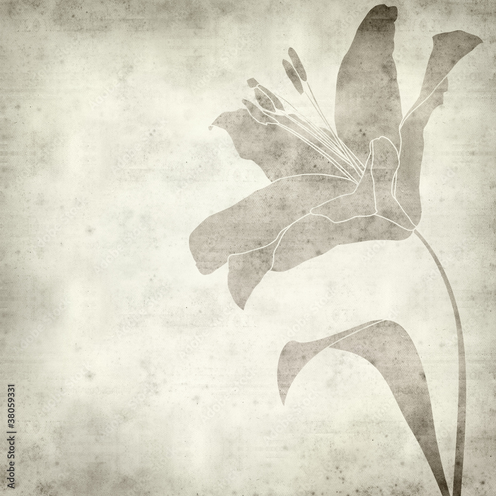 textured old paper background with drwaing of a lily flower Stock Photo ...