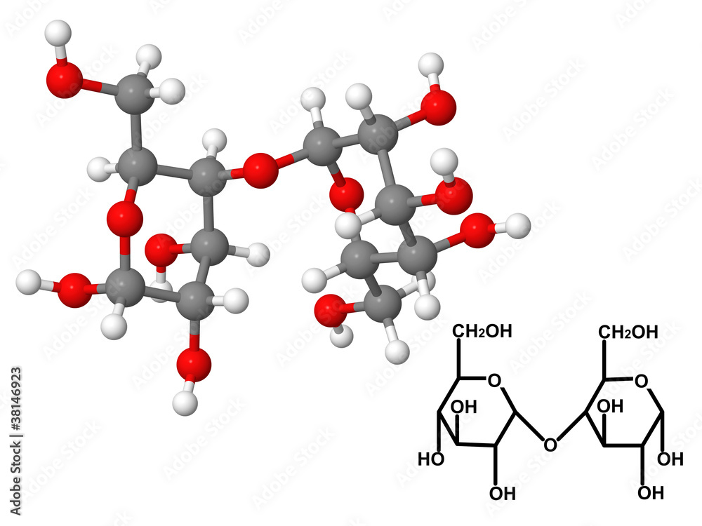 Maltose molecule with chemical formula Stock Illustration | Adobe Stock