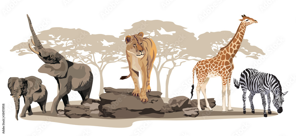 African Animals Stock Vector | Adobe Stock