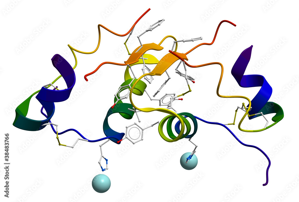 Insulin molecular structure Stock Illustration | Adobe Stock