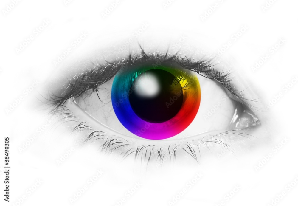 color wheel in human eye Stock Illustration | Adobe Stock