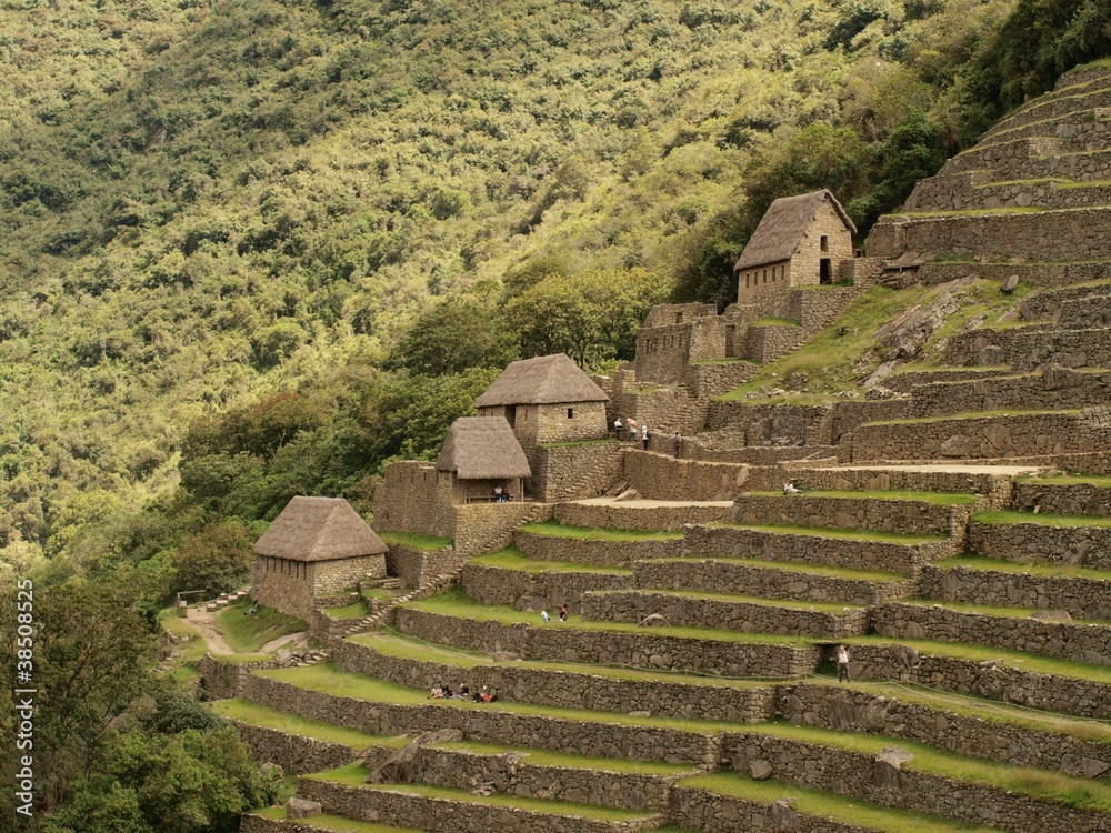 Inca terraces and huts in Machu Picchu town Stock Photo | Adobe Stock