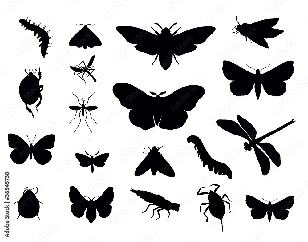 Insects silhouettes collections Stock Vector | Adobe Stock