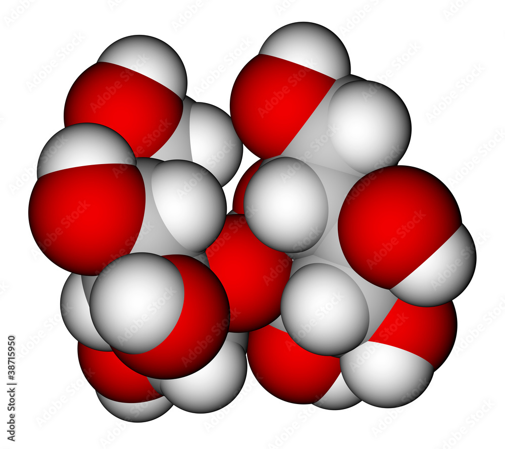 Sucrose space filling molecular model Stock Illustration | Adobe Stock
