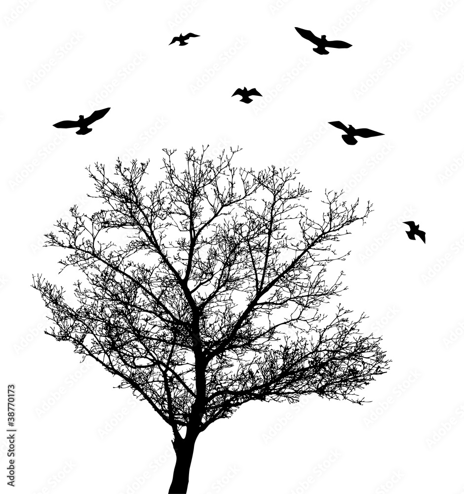Tree Silhouette With Birds