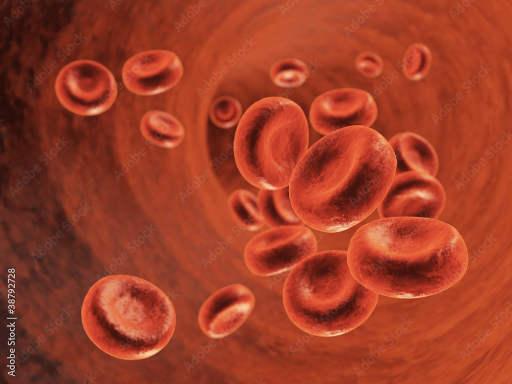Blood flow - Red blood cells Stock Illustration | Adobe Stock