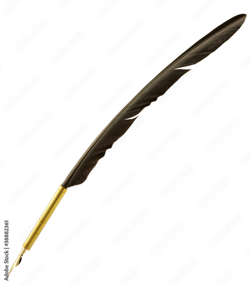 plume de calligraphie à l'ancienne Stock Photo | Adobe Stock