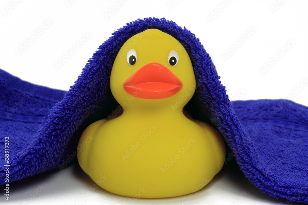 badeente Stock Photo | Adobe Stock