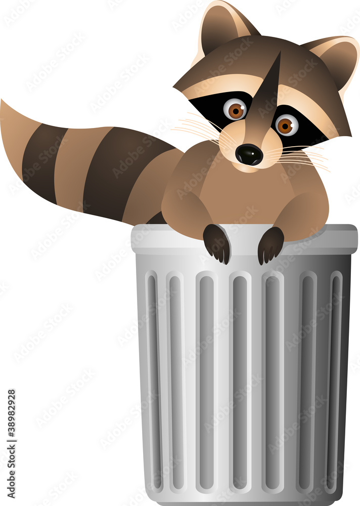 Raccoon inside garbage can Stock Vector | Adobe Stock