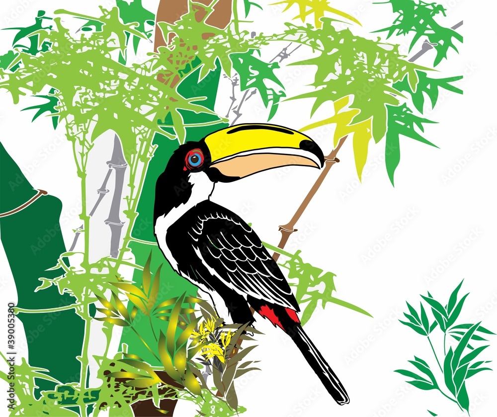 Tucano bird sitting in a branch in jungle wall mural wallpaper ...