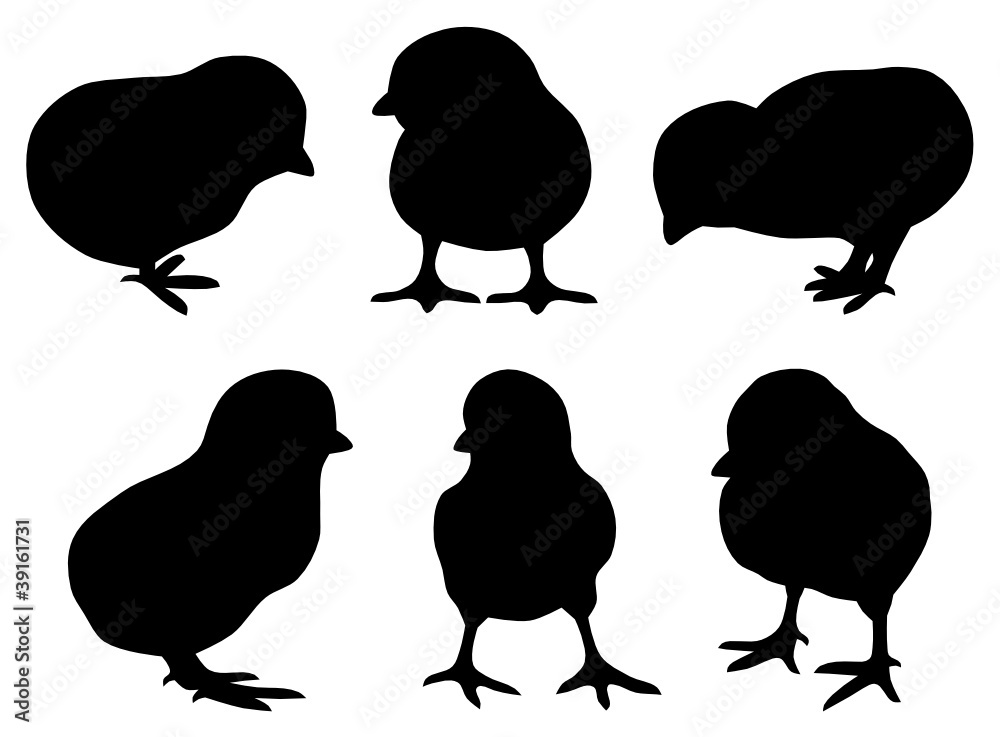 Baby Chick Silhouette