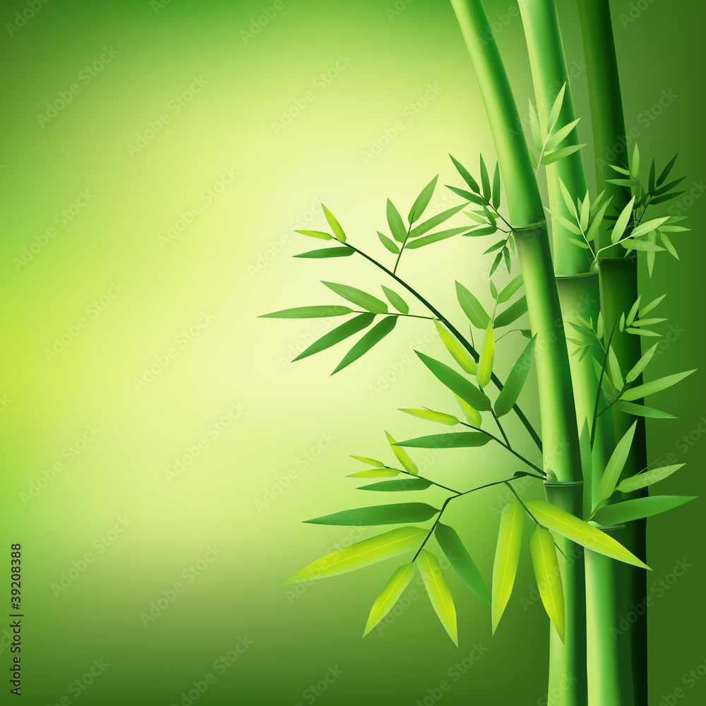 Bamboo vector illustration Stock Vector | Adobe Stock