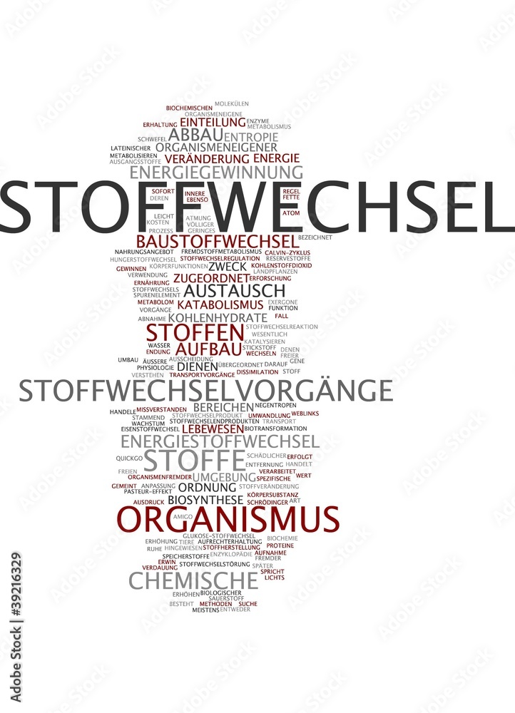 Stoffwechsel Stock-Illustration | Adobe Stock