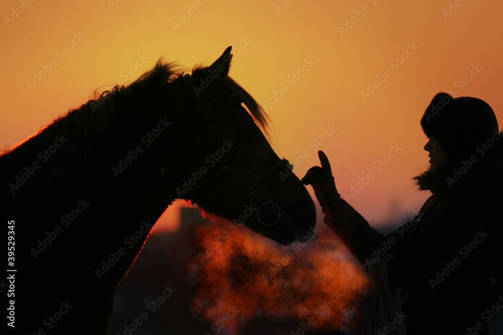 Девушка и конь Stock-Foto | Adobe Stock