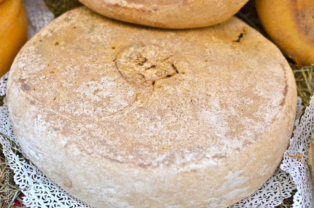 toma Stock Photo | Adobe Stock