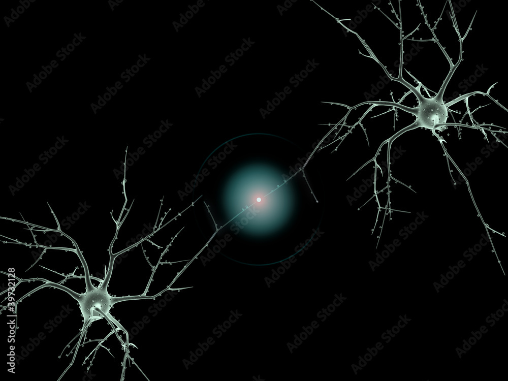 Cell body of two Neurons Stock Illustration | Adobe Stock