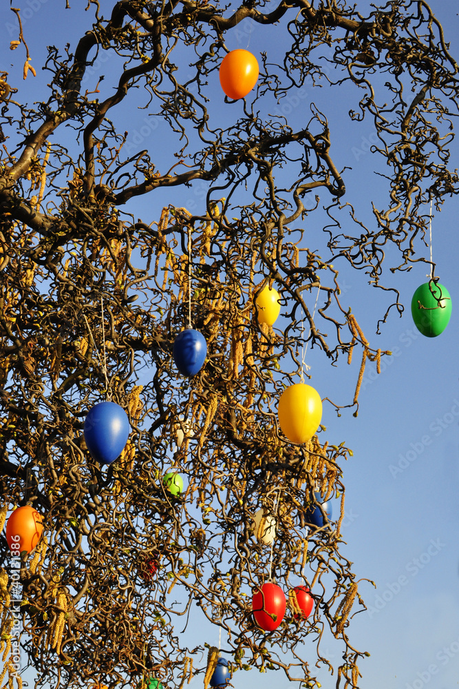osterbaum Stock-Foto | Adobe Stock
