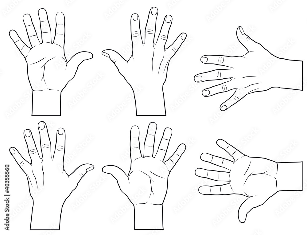 Offene Hand. innen und außenansicht Stock-Vektorgrafik | Adobe Stock