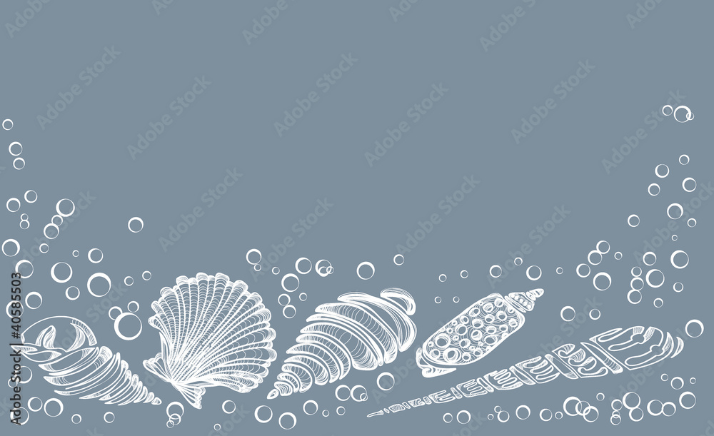 Hand Drawn background with see shell Stock Vector | Adobe Stock