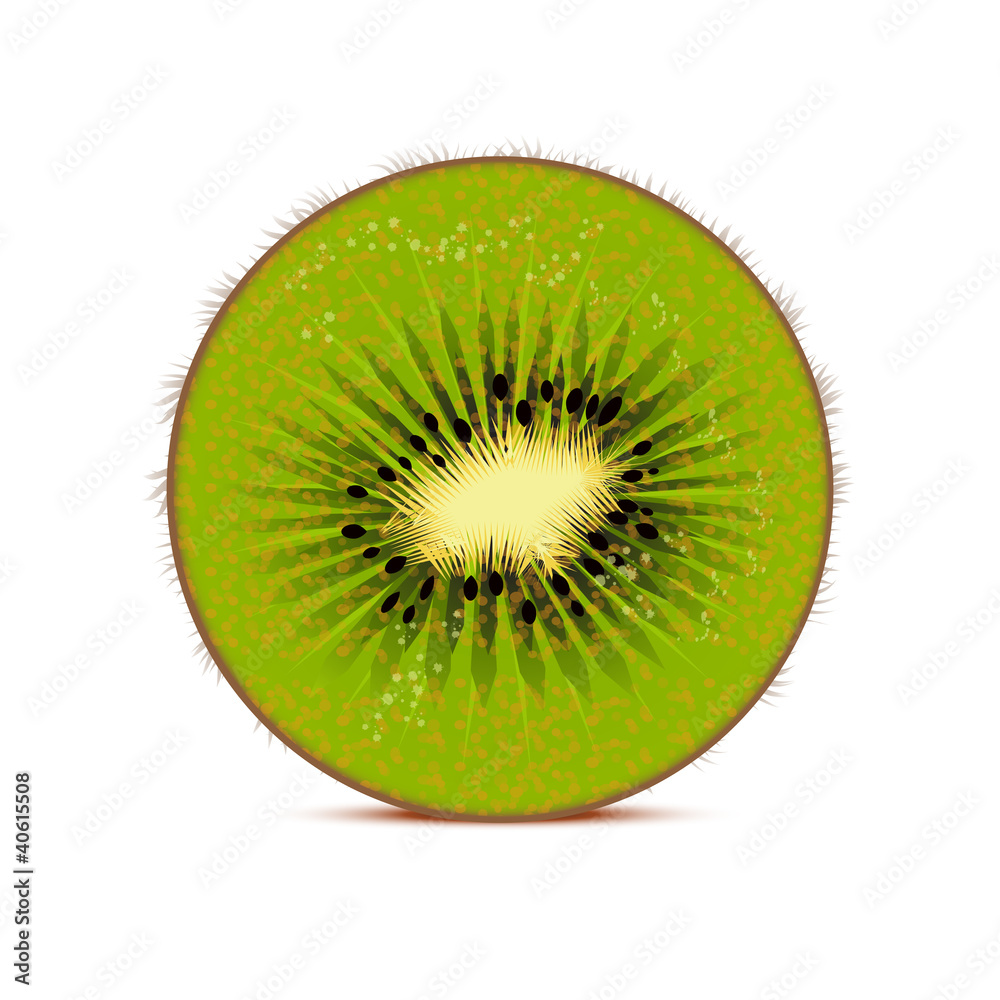 Kiwi vector illustration Stock Vector | Adobe Stock