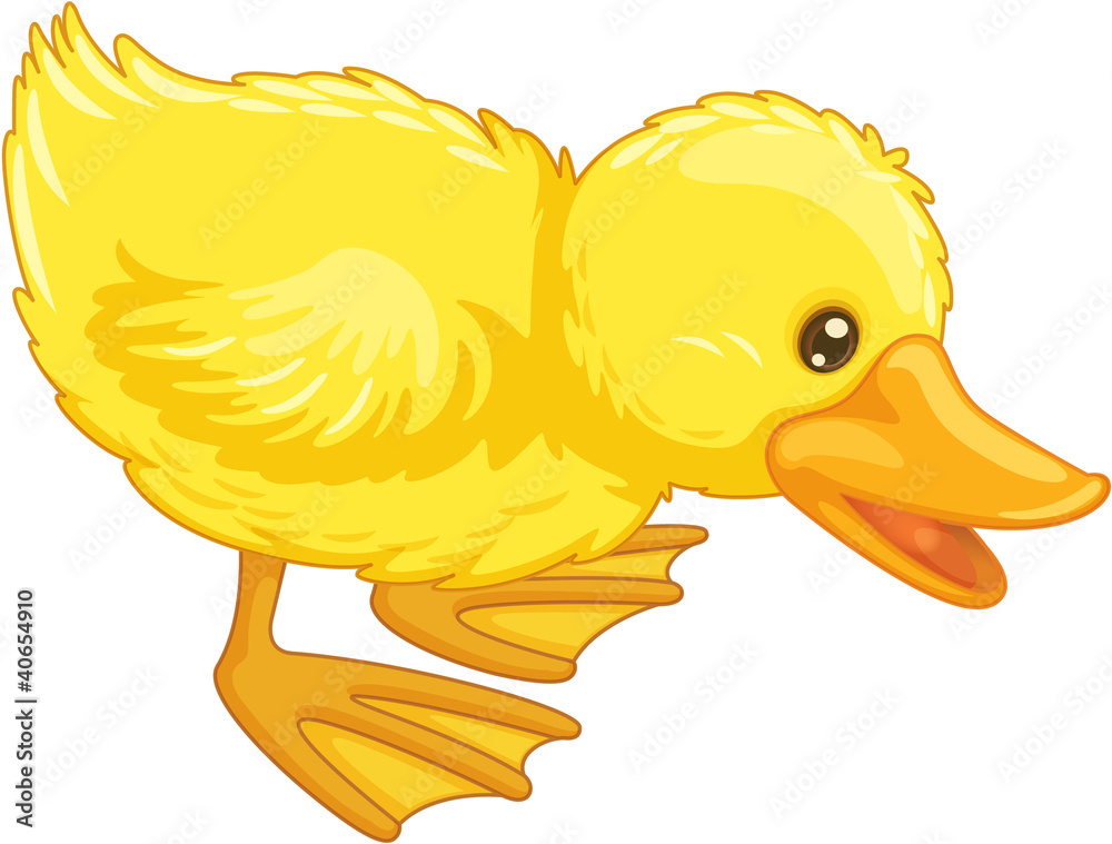 cute cartoon duck Stock Vector | Adobe Stock