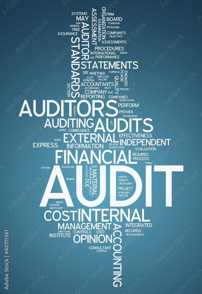 Word Cloud "Audit" Stock Illustration | Adobe Stock