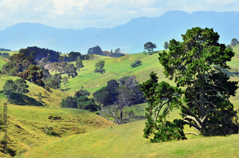 Landscape view of beautiful valley near Matamata in Waikato region New ...