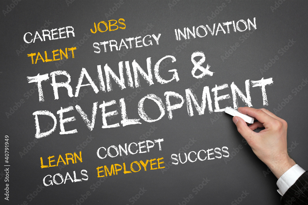 Training Development Stock Illustration | Adobe Stock