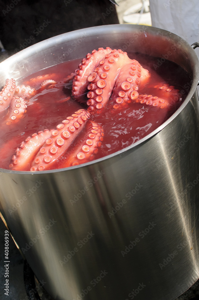 Pulpo Stock Photo | Adobe Stock