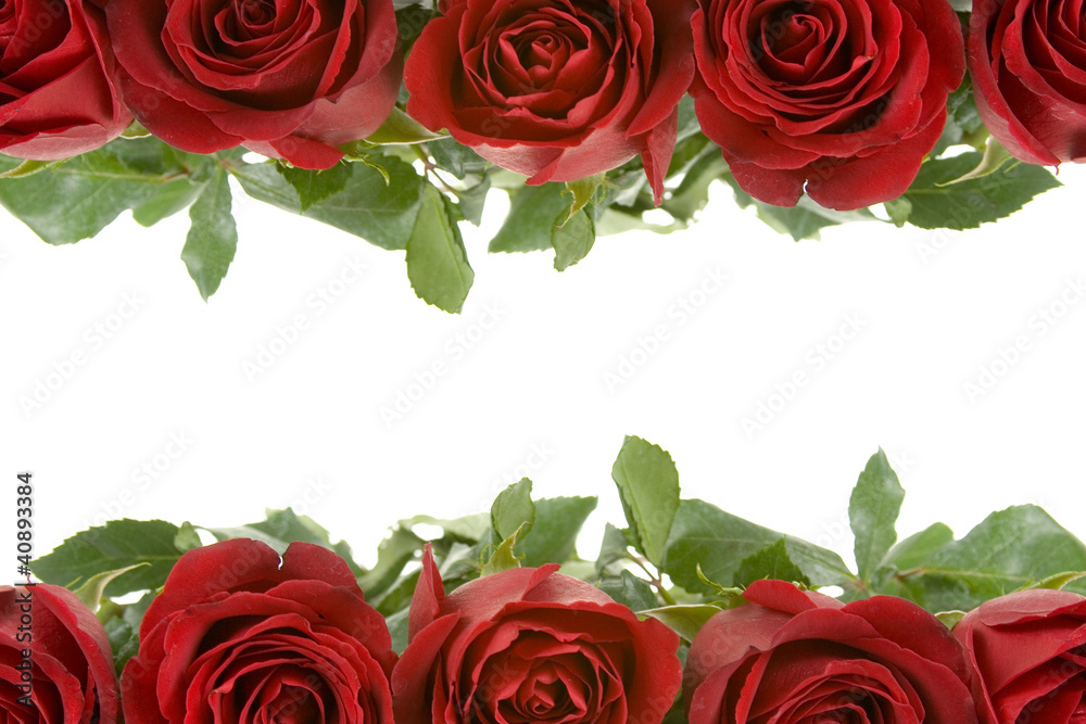Border of red roses Stock Photo | Adobe Stock
