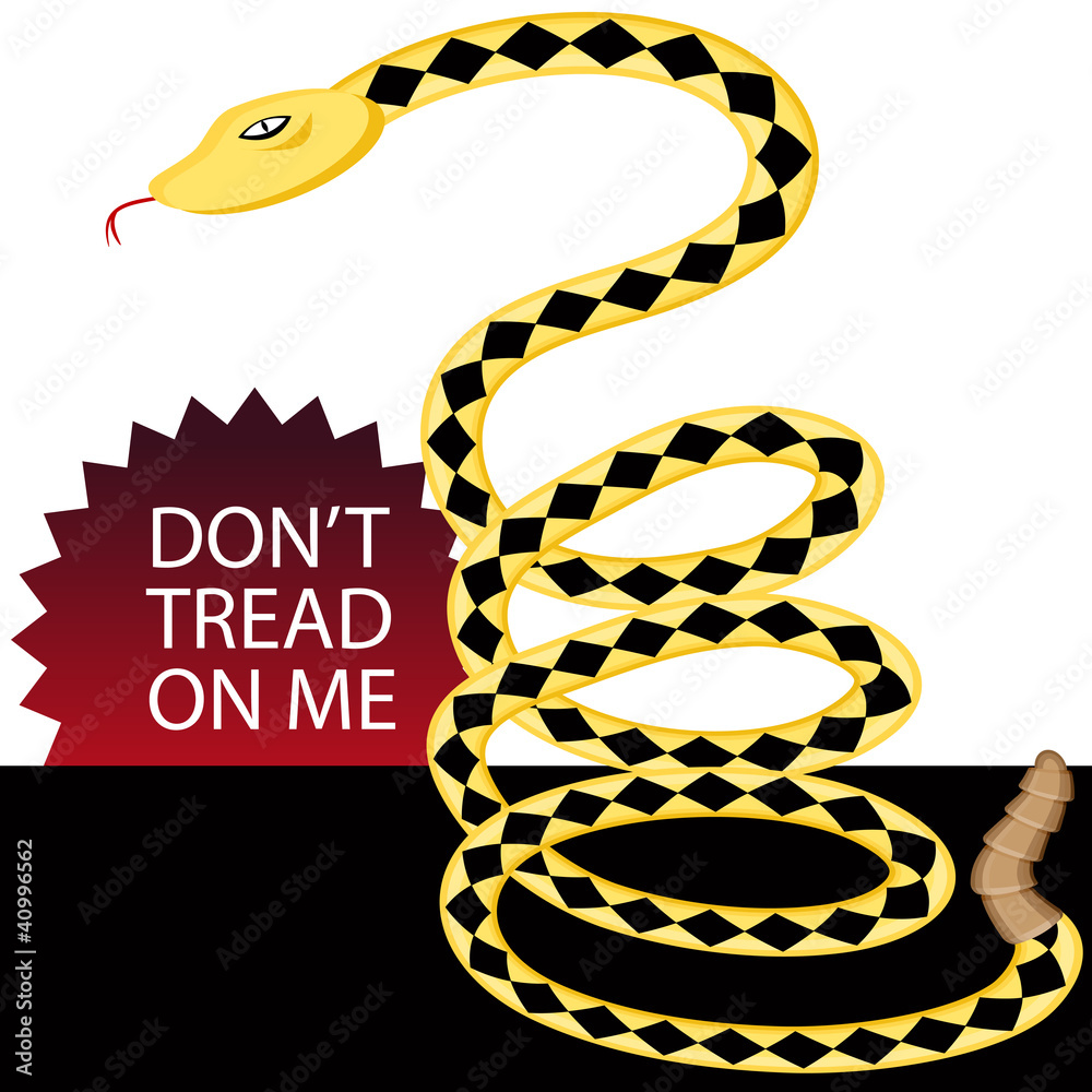 Don't Tread on Me Snake Stock Vector | Adobe Stock