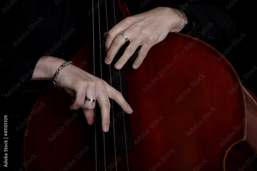 Contrabass player in front of black background Stock Photo | Adobe Stock