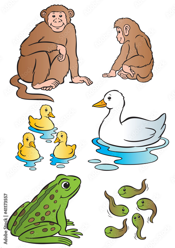 Mother & baby monkey, duck & frog Stock Vector | Adobe Stock
