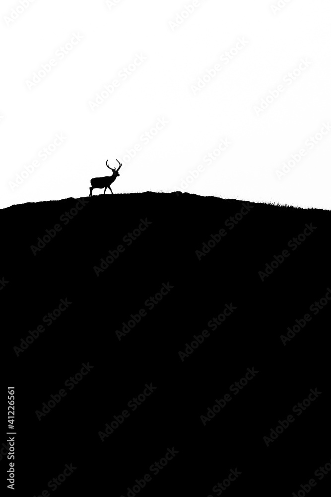 Stag silhouette Stock Photo | Adobe Stock
