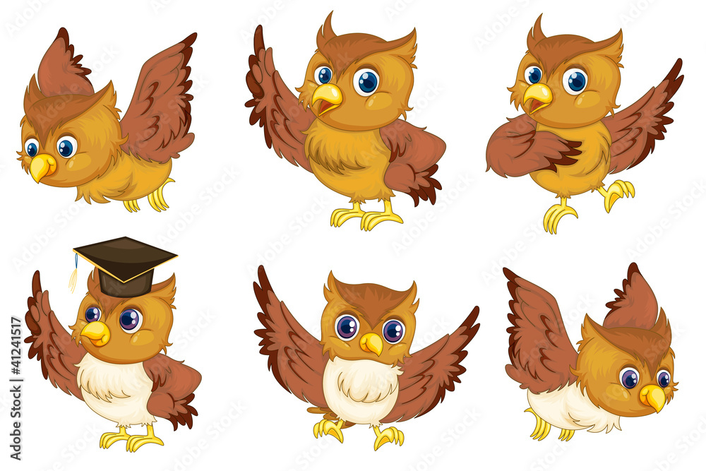 Owl series Stock Vector | Adobe Stock