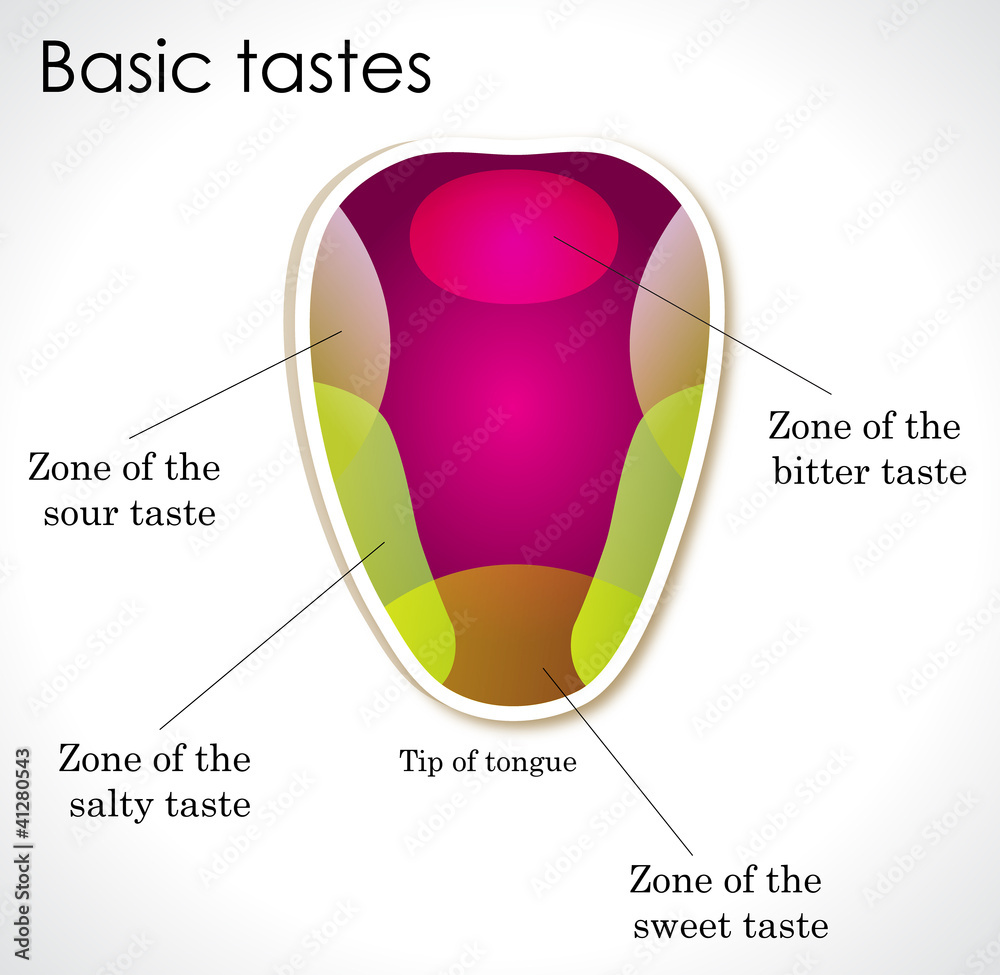 Human tongue. One of the traditional five senses. Taste. Stock ...