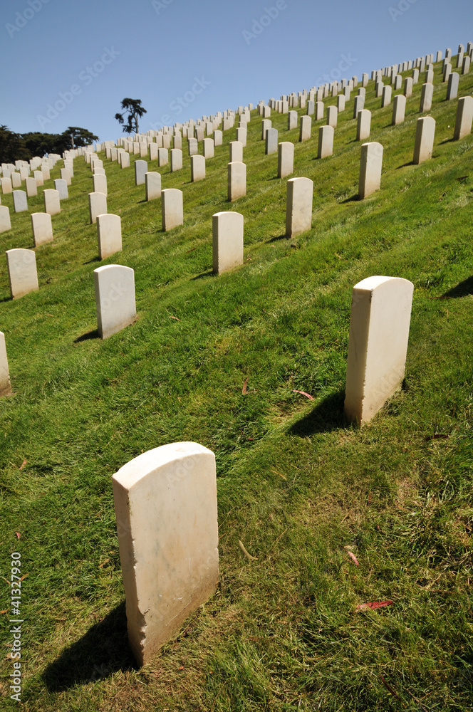 Rows of headstones in a cemetery Stock Photo | Adobe Stock